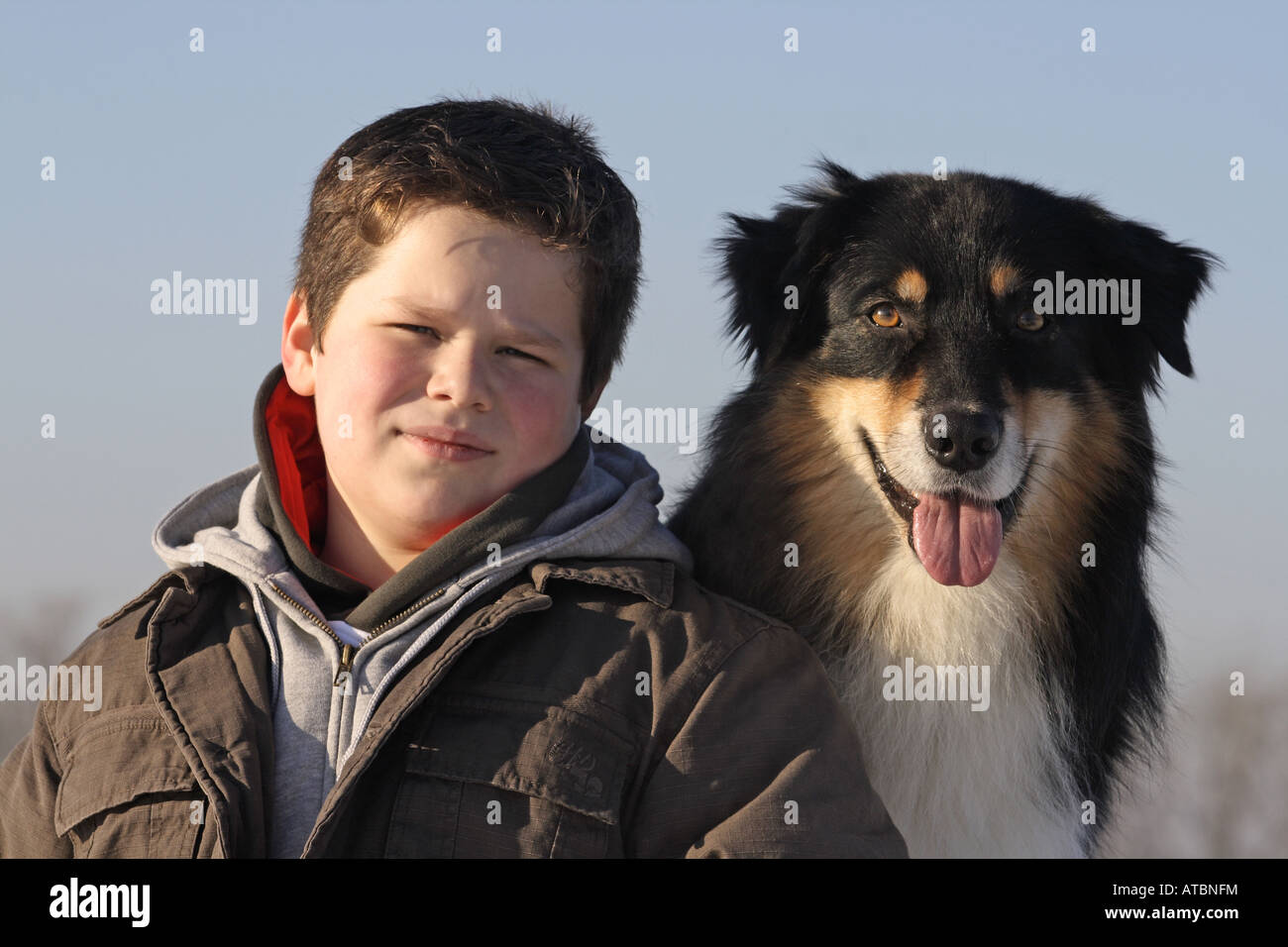 Australian Shepherd (Canis lupus f. familiaris), boy with male Stock ...