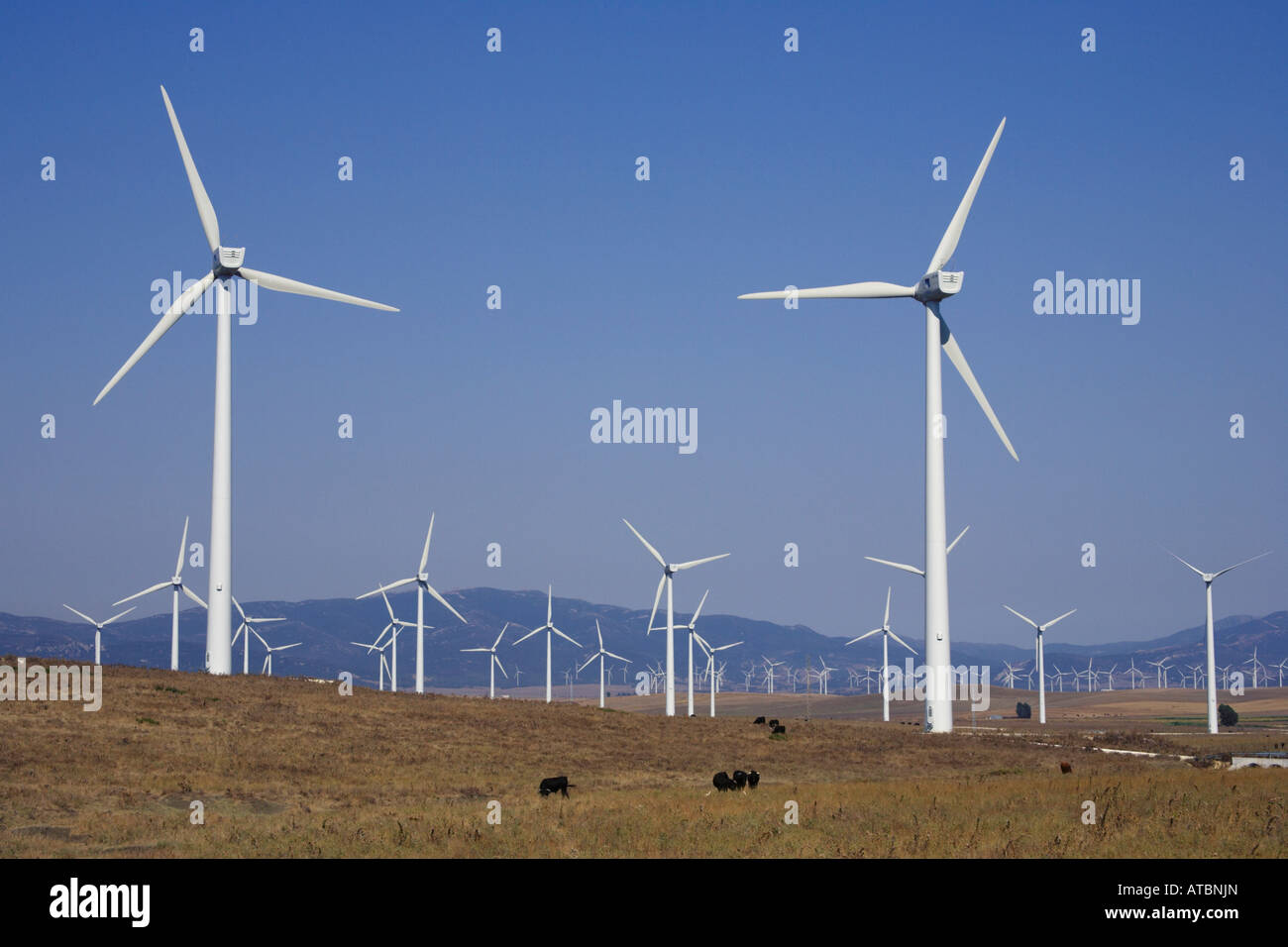 Wind Farm Turbines , Southern Spain Stock Photo - Alamy