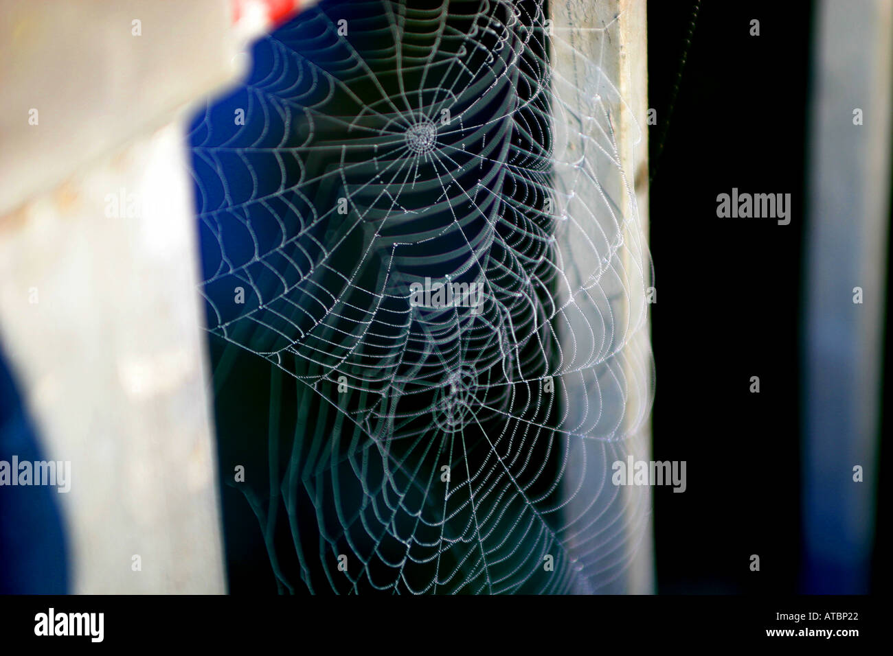 Invisible spider web hi-res stock photography and images - Alamy