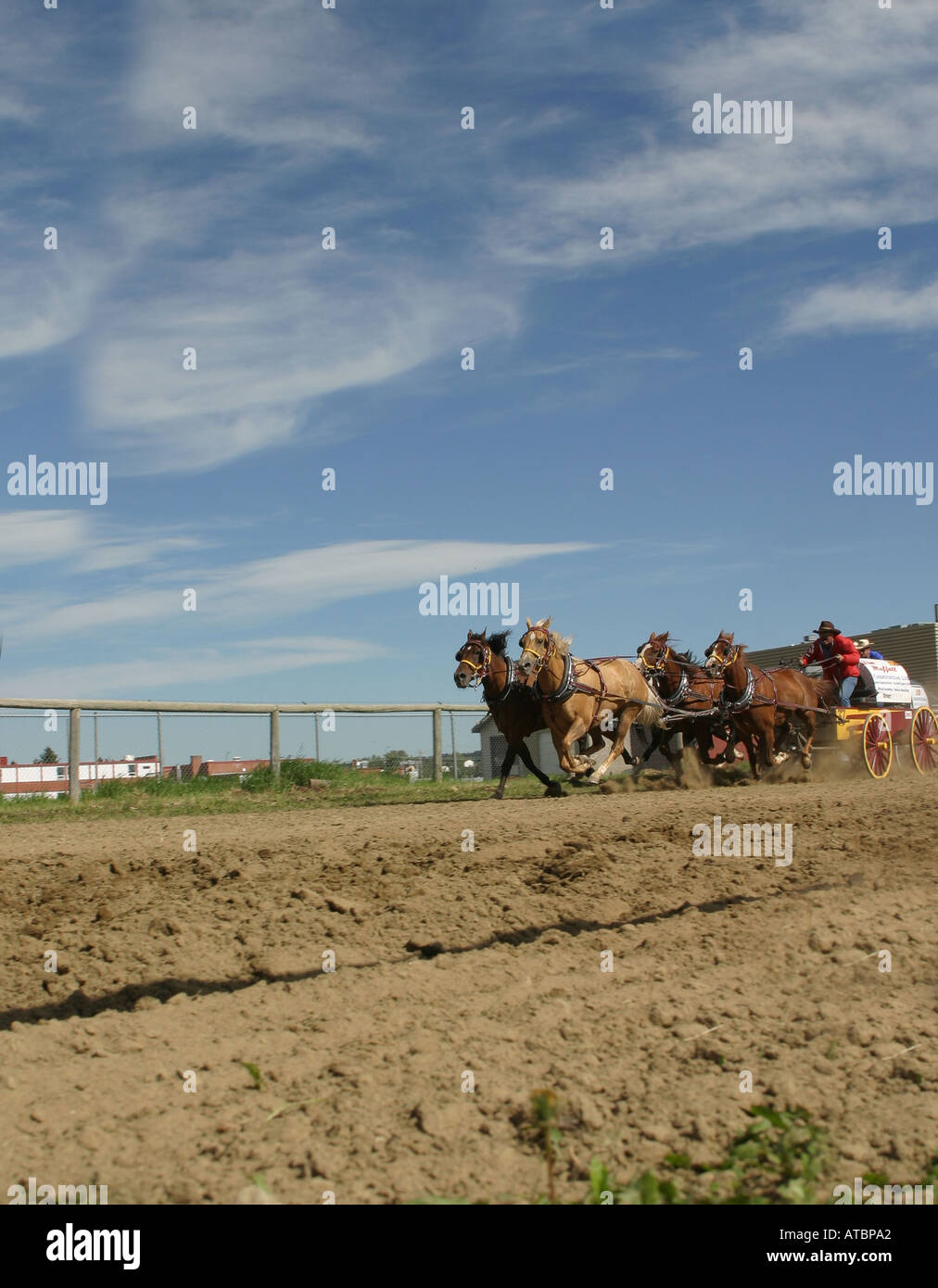 CHUCK WAGONS; Rodeo, Alberta, Canada, Chuck wagon racing Stock Photo ...