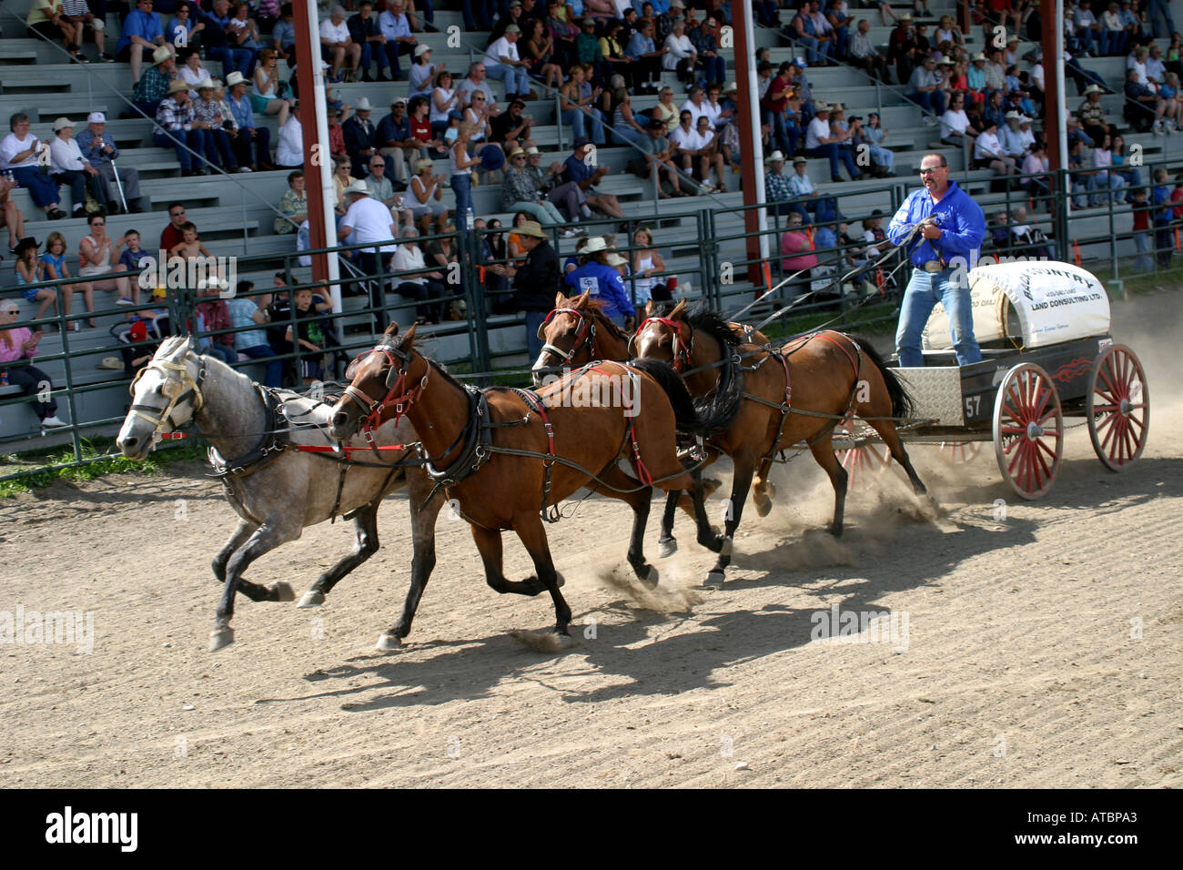 Fall horse drawn wagons hi-res stock photography and images - Alamy