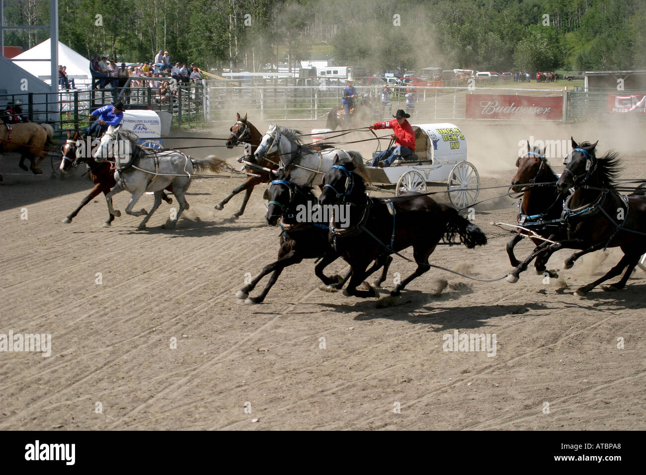 Two wheeled racing cart hi-res stock photography and images - Alamy
