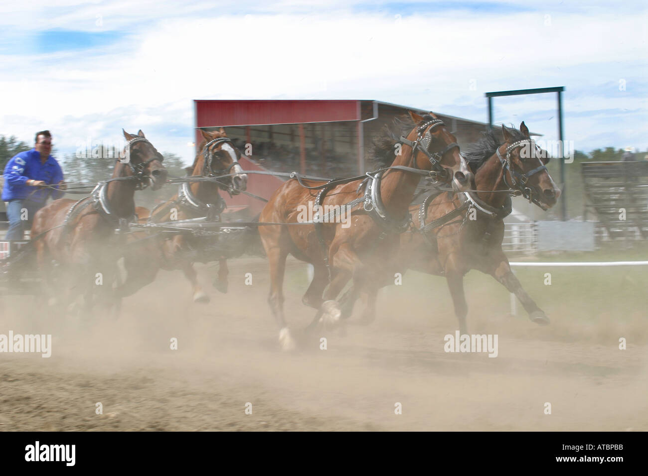 CHUCK WAGONS Rodeo, Alberta, Canada, Chuck wagon racing Stock Photo - Alamy