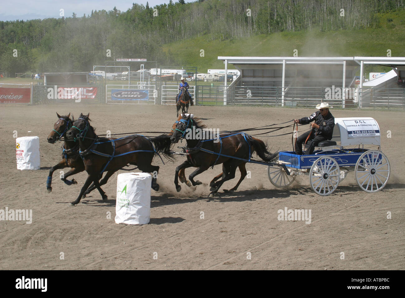 Best chucks hi-res stock photography and images - Alamy