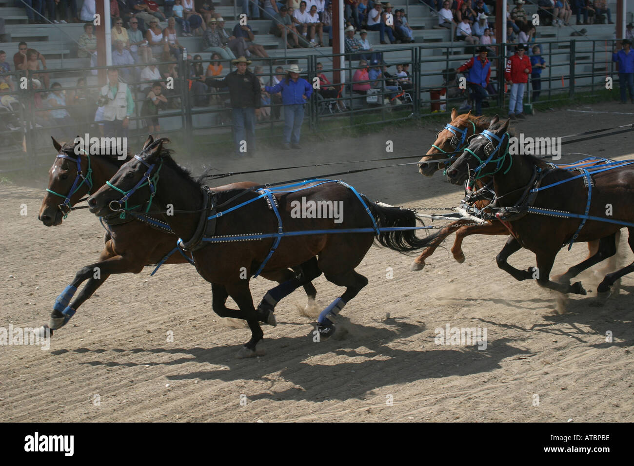 Chuck wagon team hi-res stock photography and images - Alamy