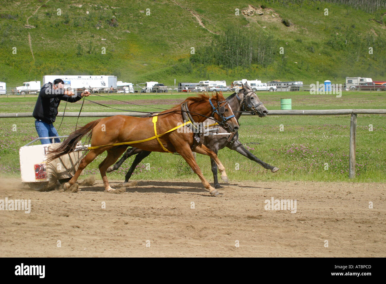 Operation chariot hi-res stock photography and images - Alamy