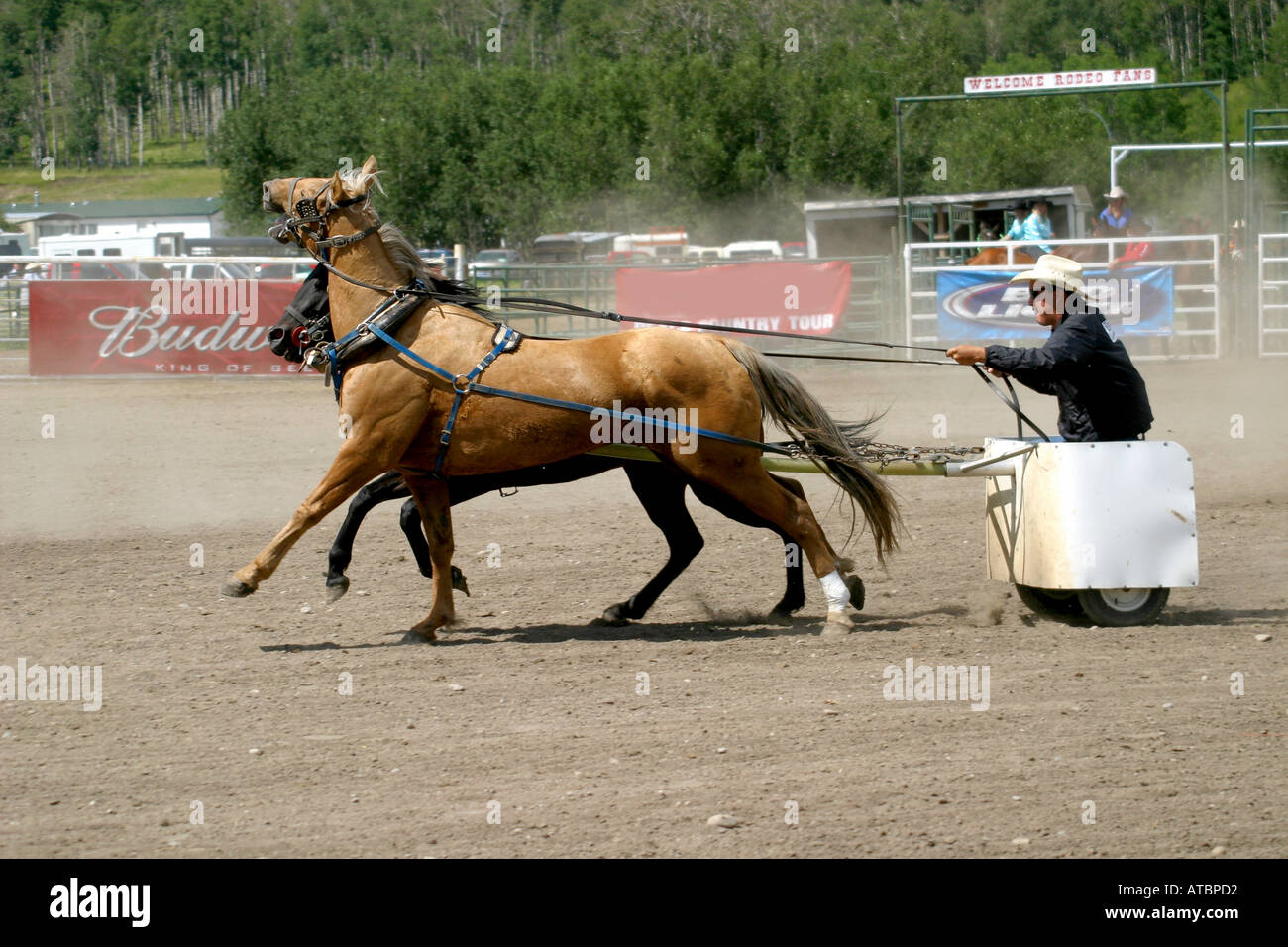 Agile chariot hi-res stock photography and images - Alamy