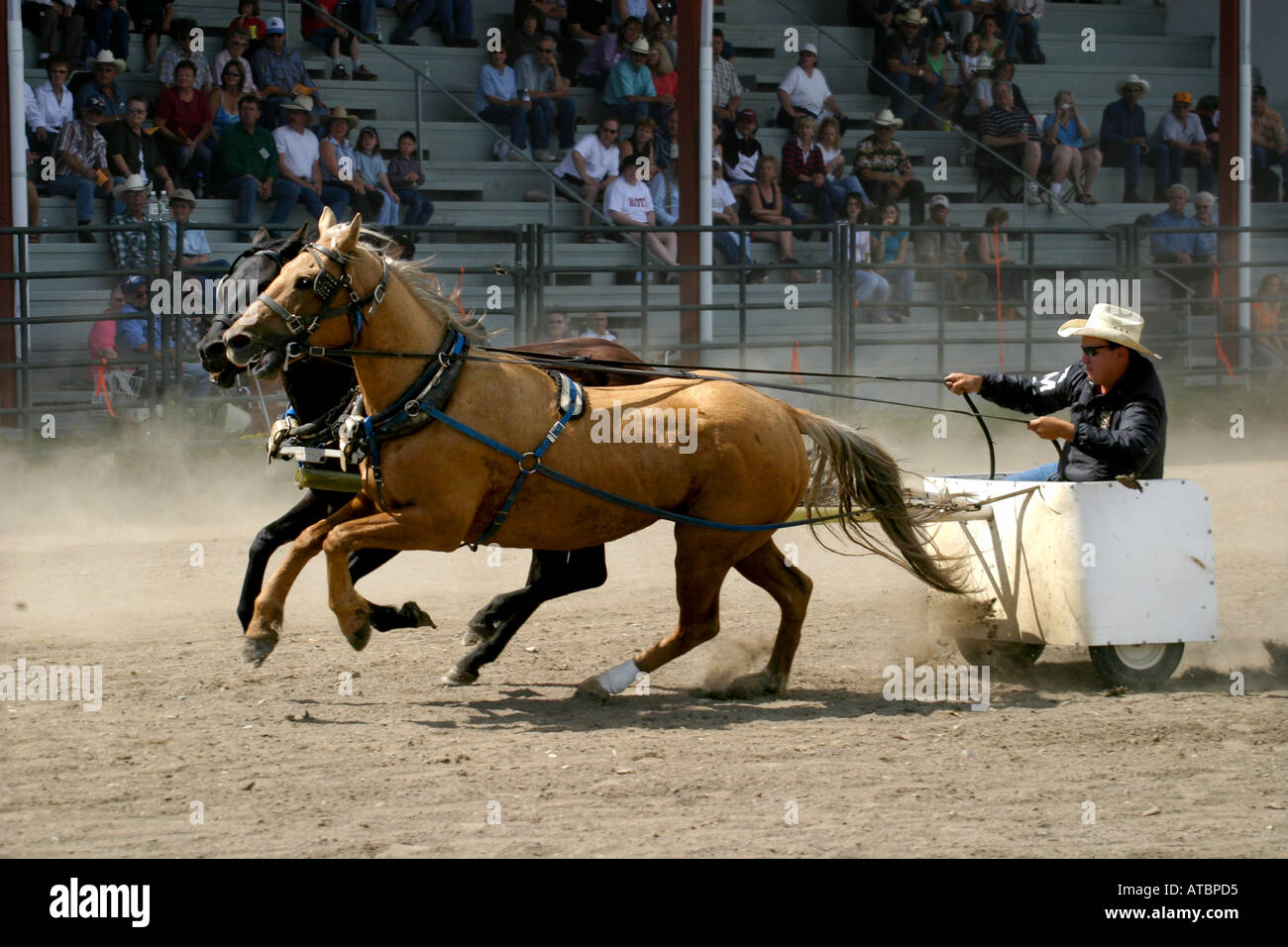 Chariot Races High Resolution Stock Photography and Images - Alamy