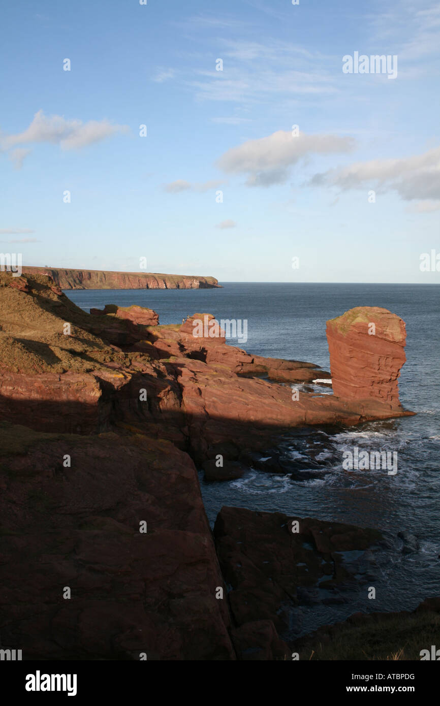 deil's heid sea stack and red sandstone Seaton Cliffs Angus Scotland ...