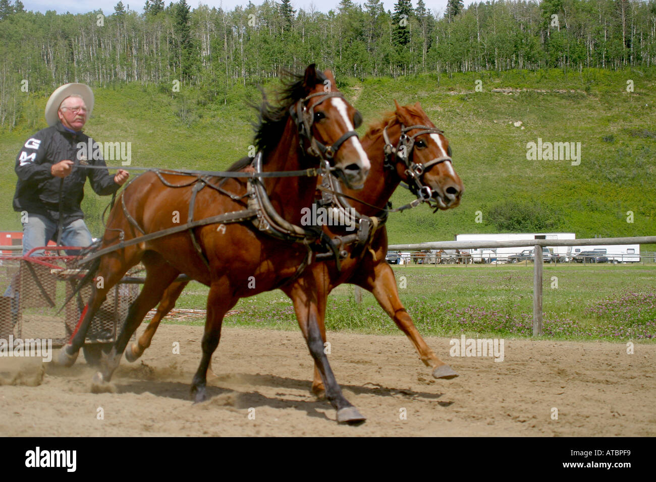 Flying chariot hi-res stock photography and images - Alamy