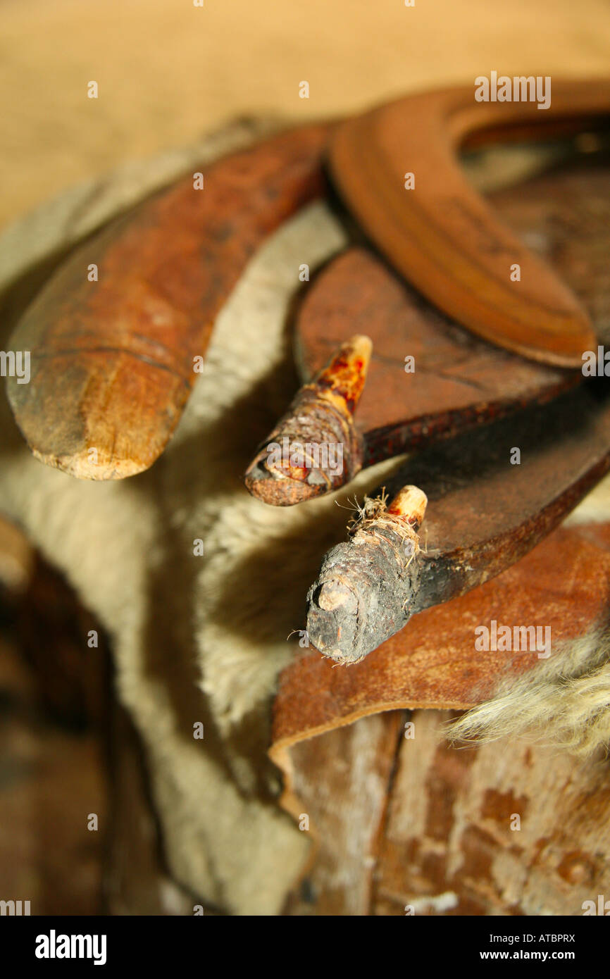 Aboriginal boomerang (throw stick) and woomera (spear thrower) on ...