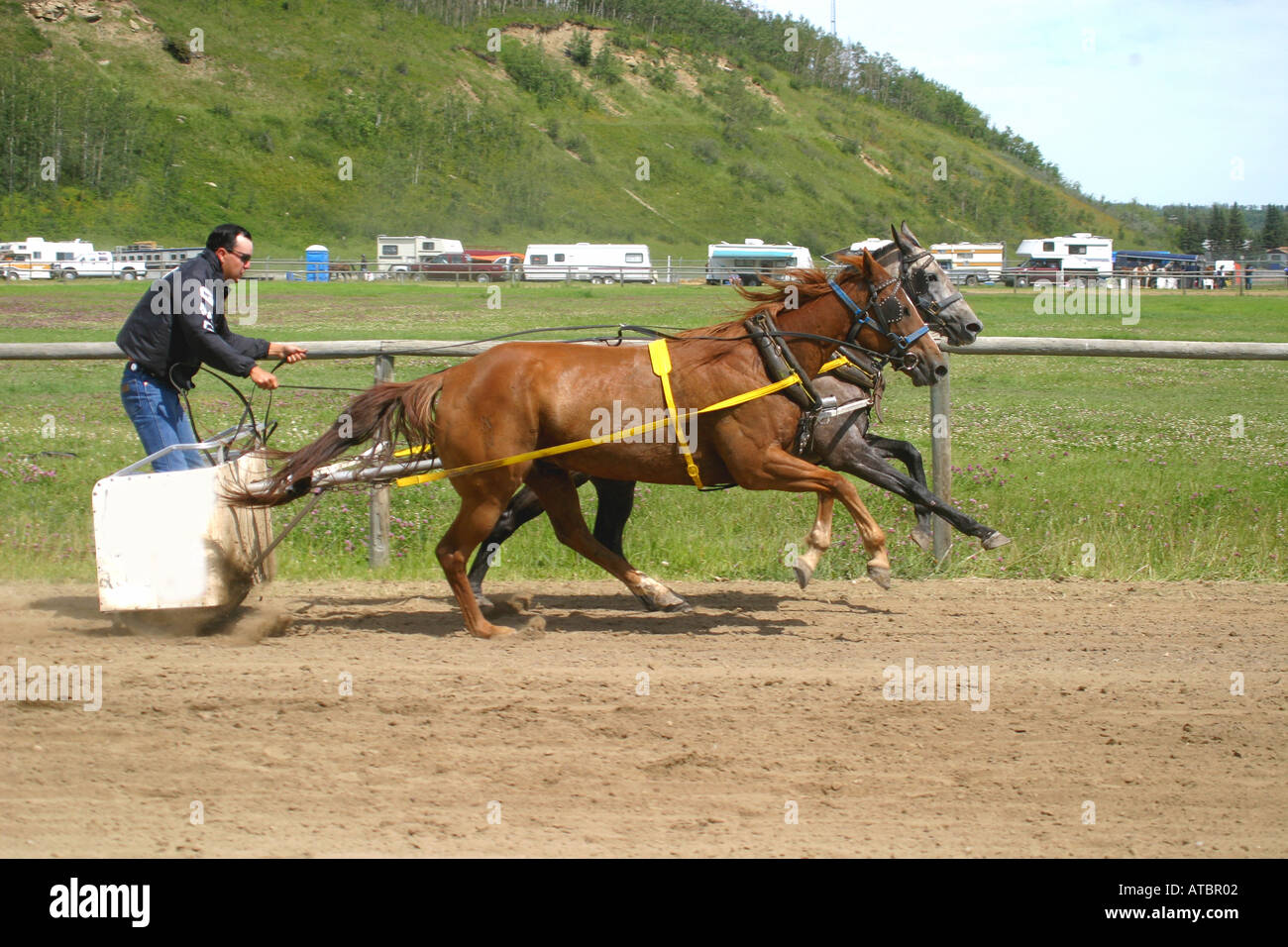 Agile chariot hi-res stock photography and images - Alamy
