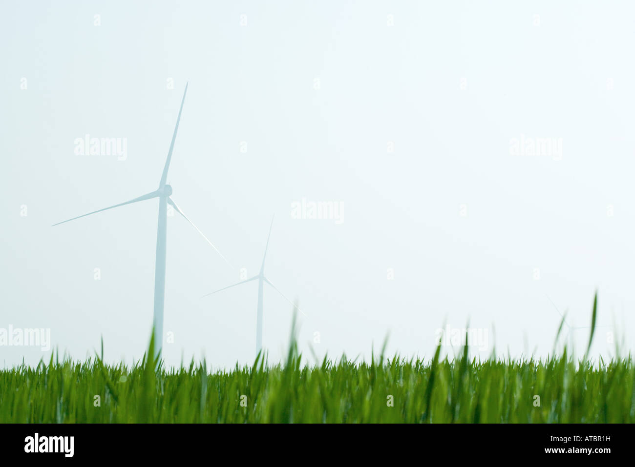 Wind turbines in field of grass Stock Photo - Alamy