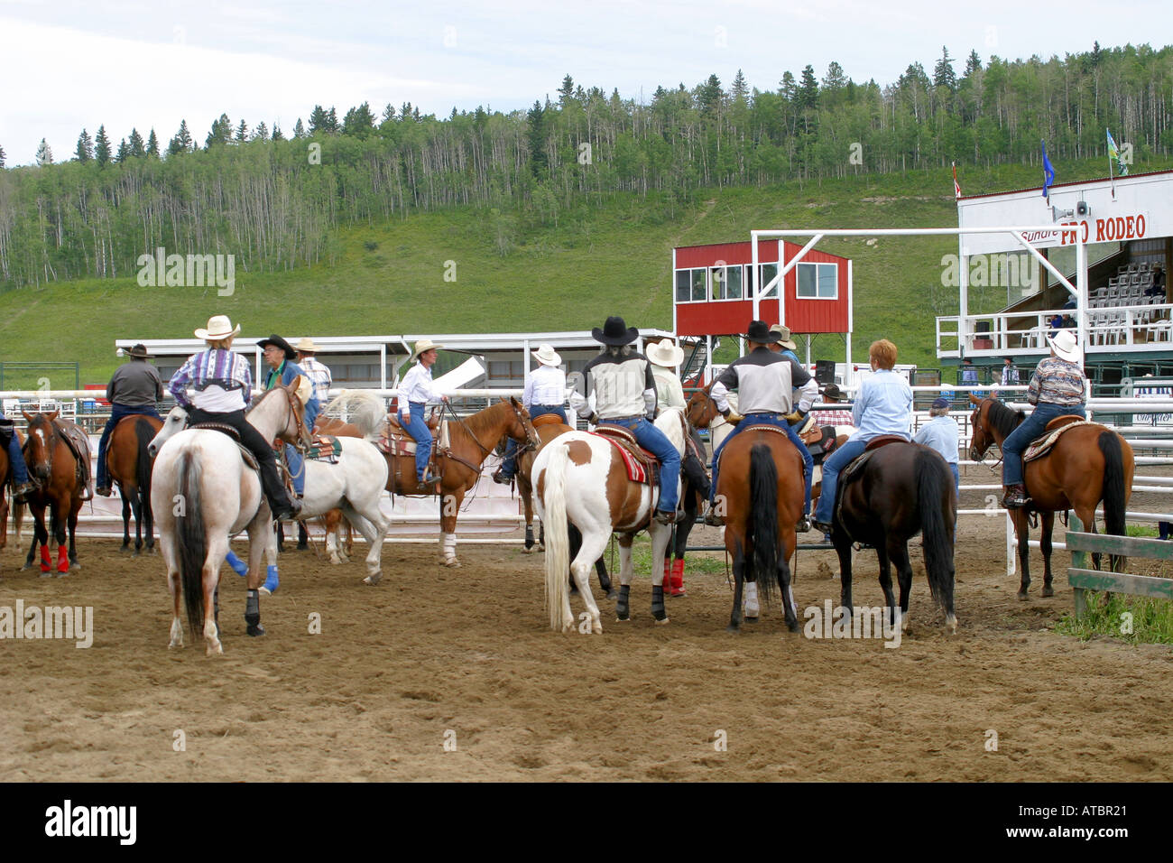 Cowboy lasso horse cattle herd hi-res stock photography and images - Alamy