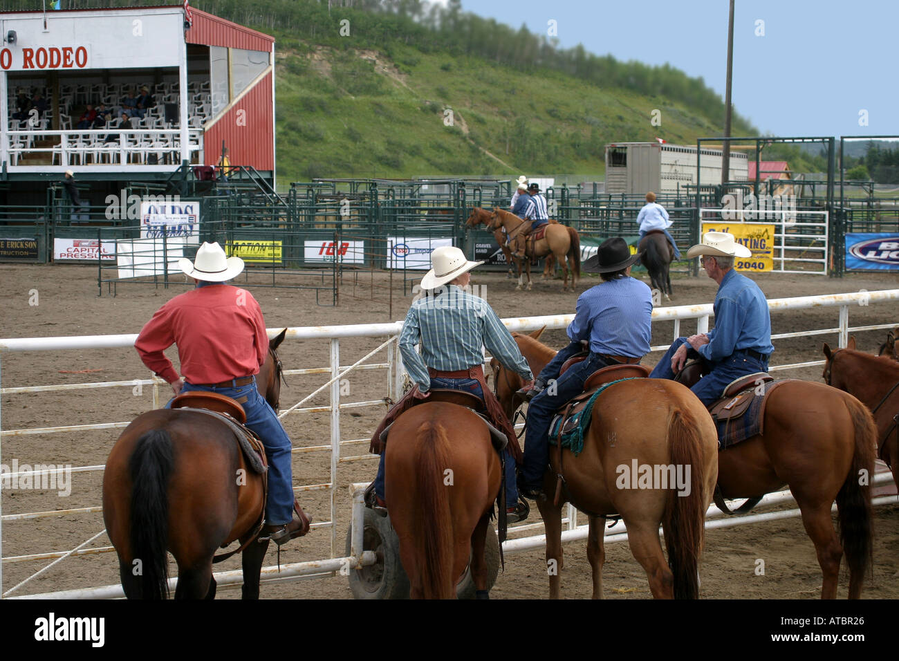 Team Penning High Resolution Stock Photography and Images - Alamy