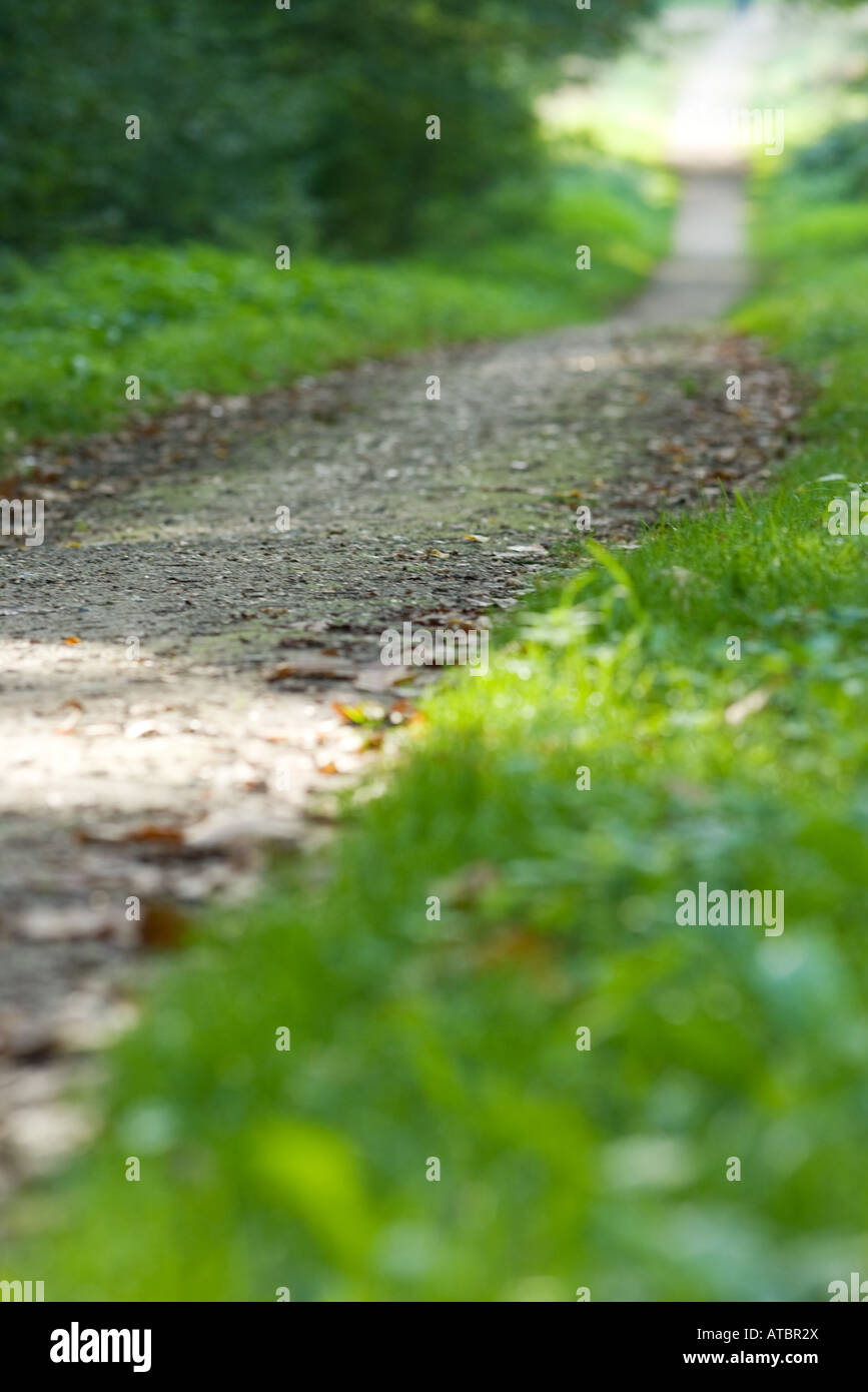 Country path, surface level view Stock Photo - Alamy