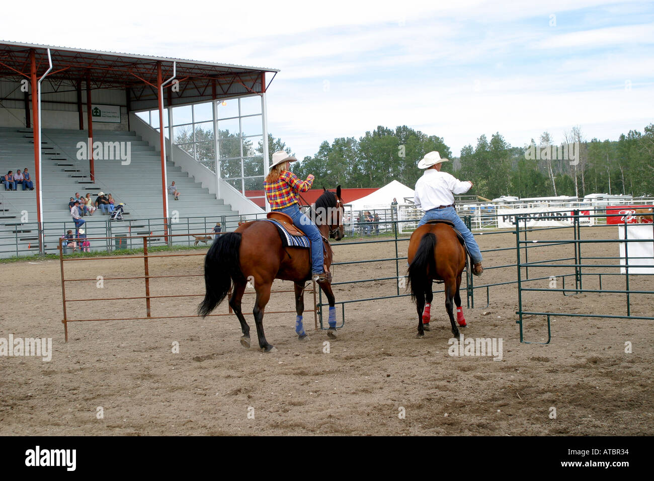 Team penning hi-res stock photography and images - Alamy