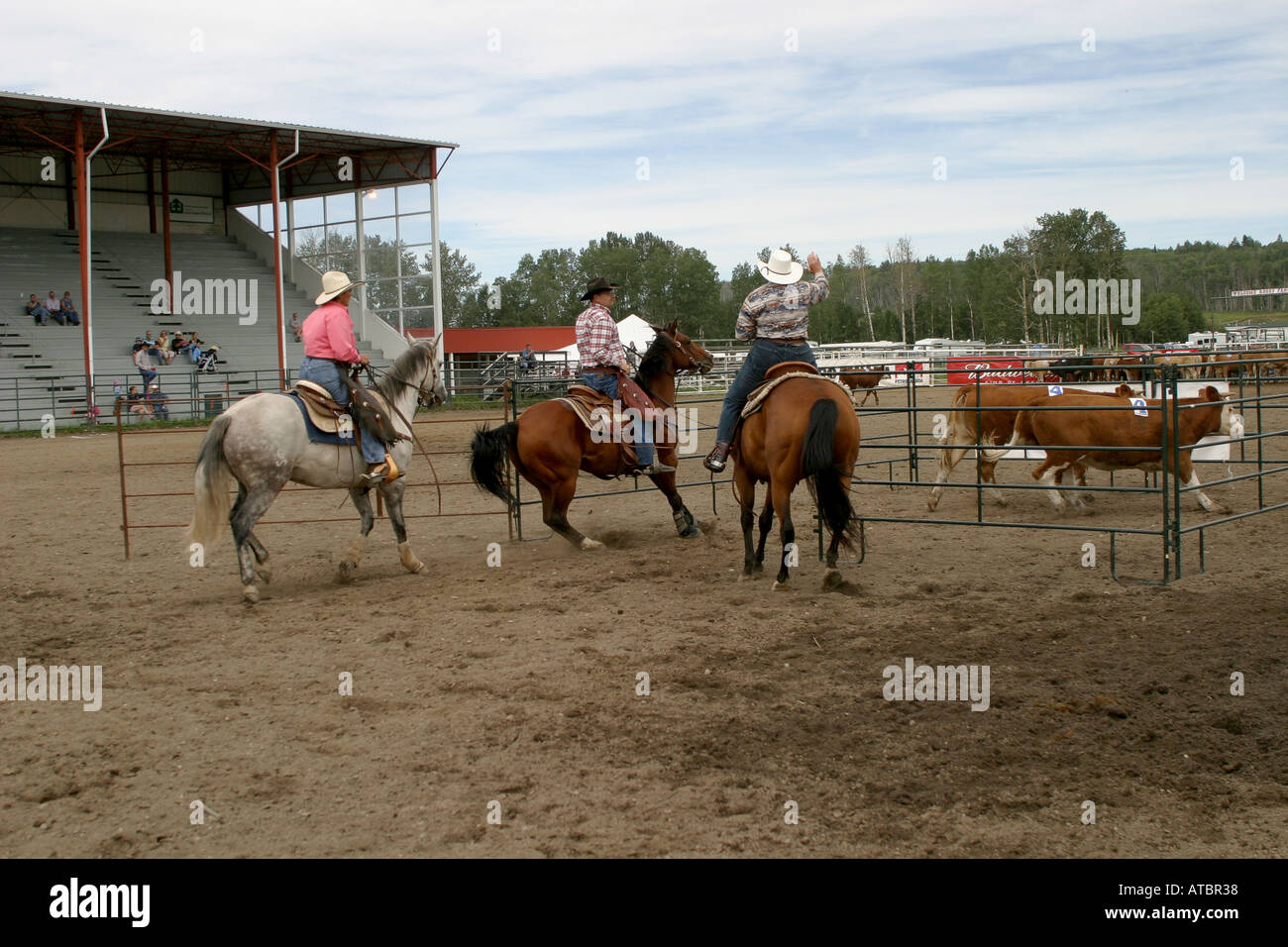 Team penning hi-res stock photography and images - Alamy