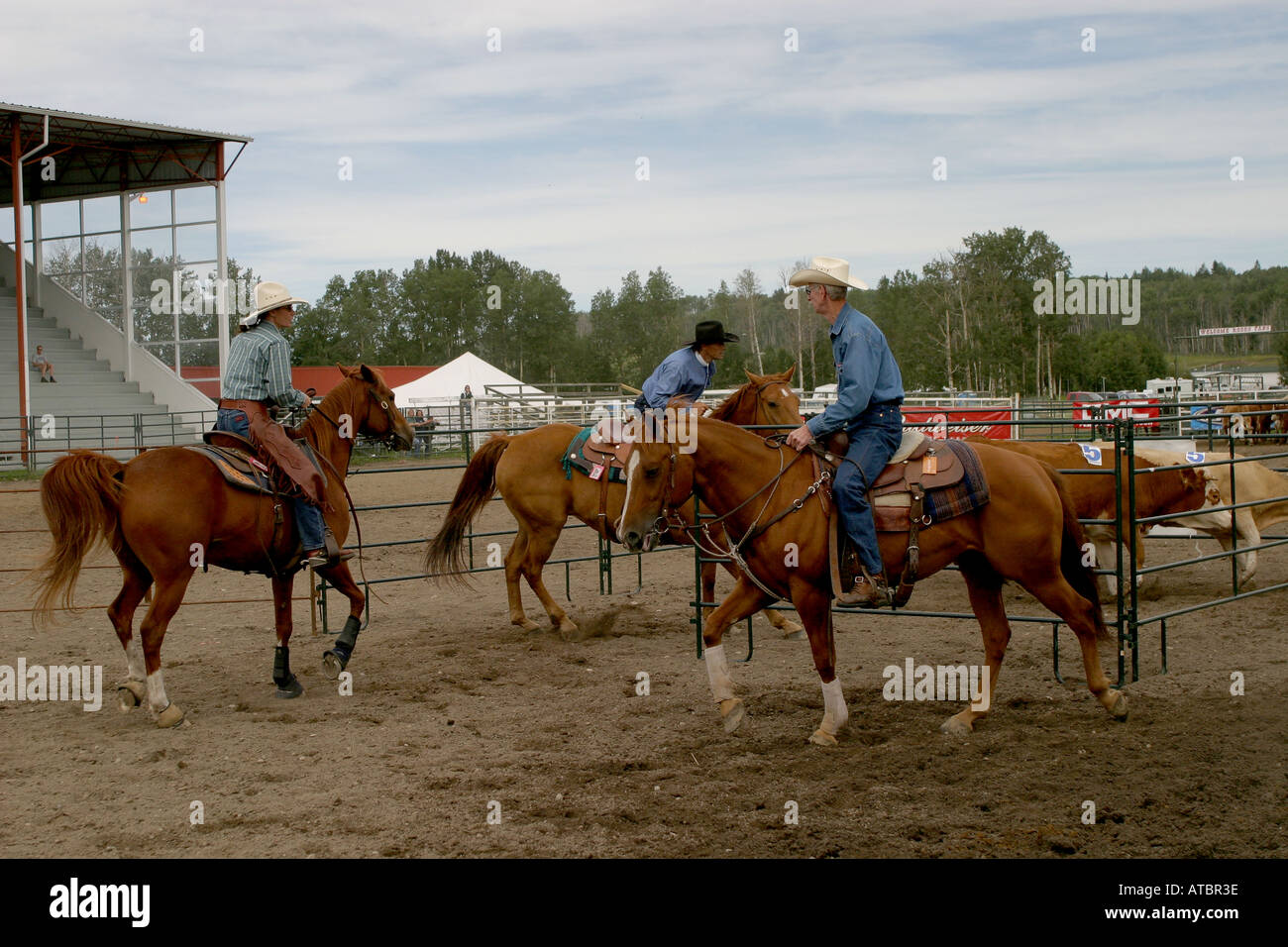 Team penning hi-res stock photography and images - Alamy