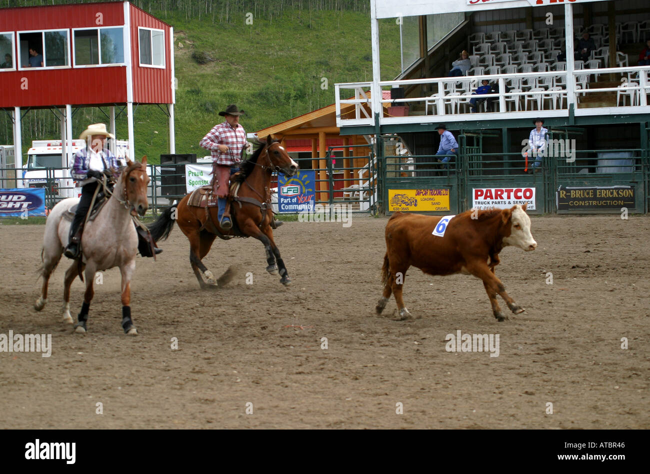 Team penning hi-res stock photography and images - Alamy