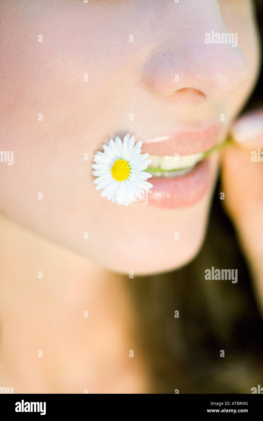 Young woman holding flower in mouth, cropped view Stock Photo - Alamy