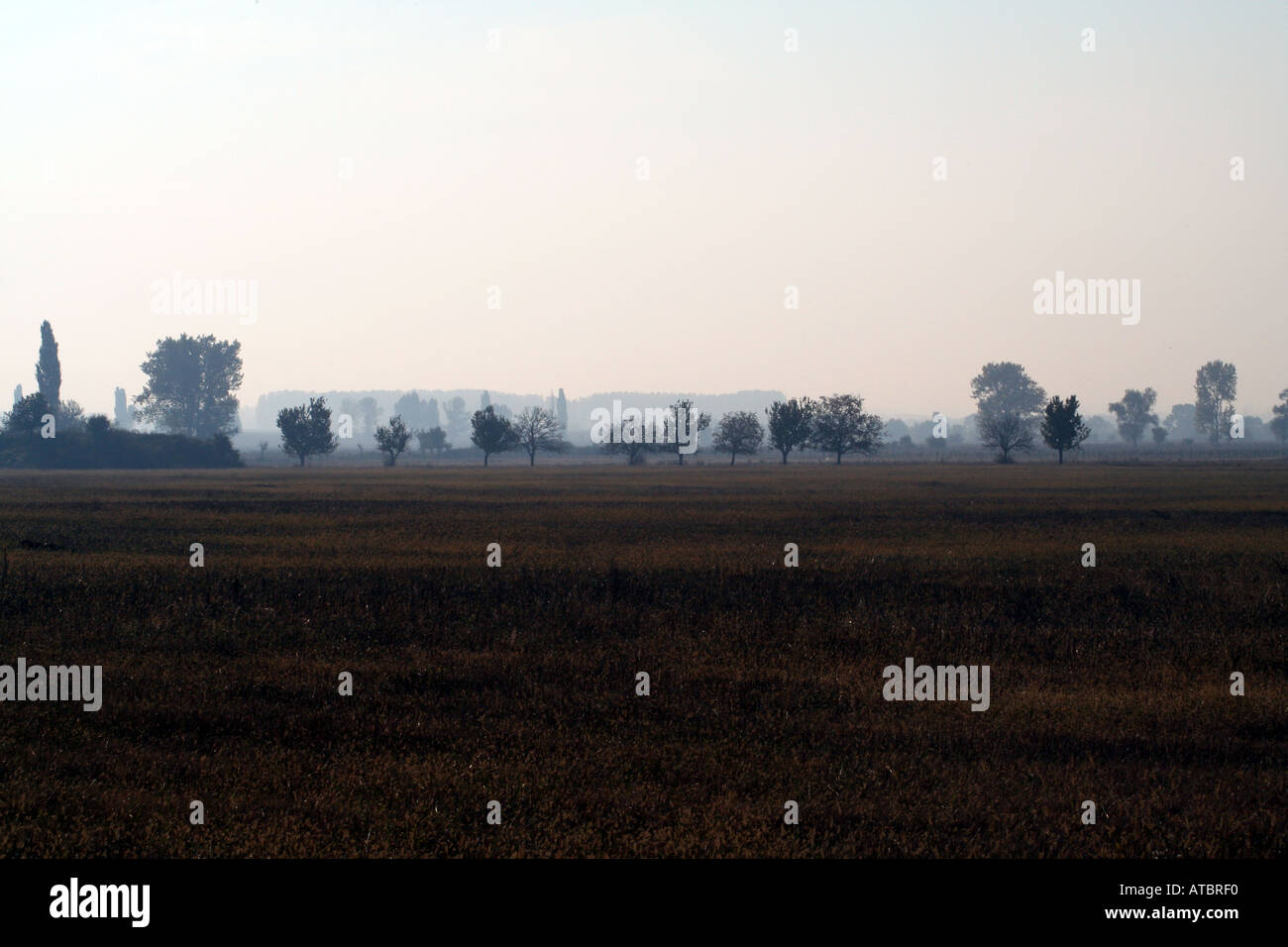 landscape, morning, haze Stock Photo - Alamy