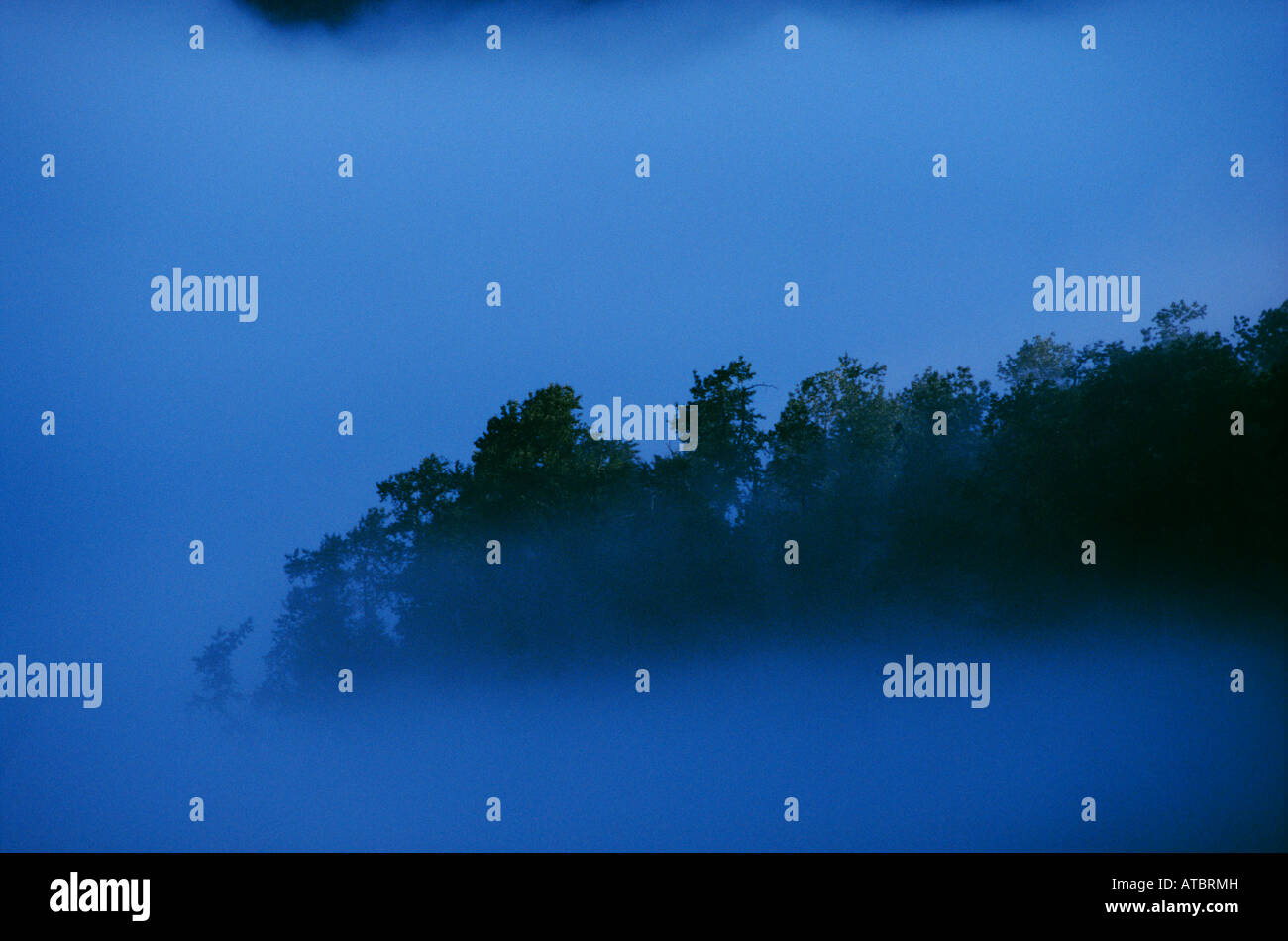 Morning light on trees and fog, Kodiak Alaska Stock Photo - Alamy