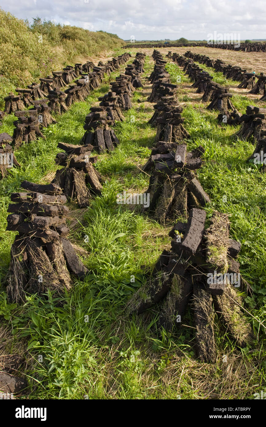 peat stacked for drying, Ireland, Clarens, Doonbeg Stock Photo - Alamy