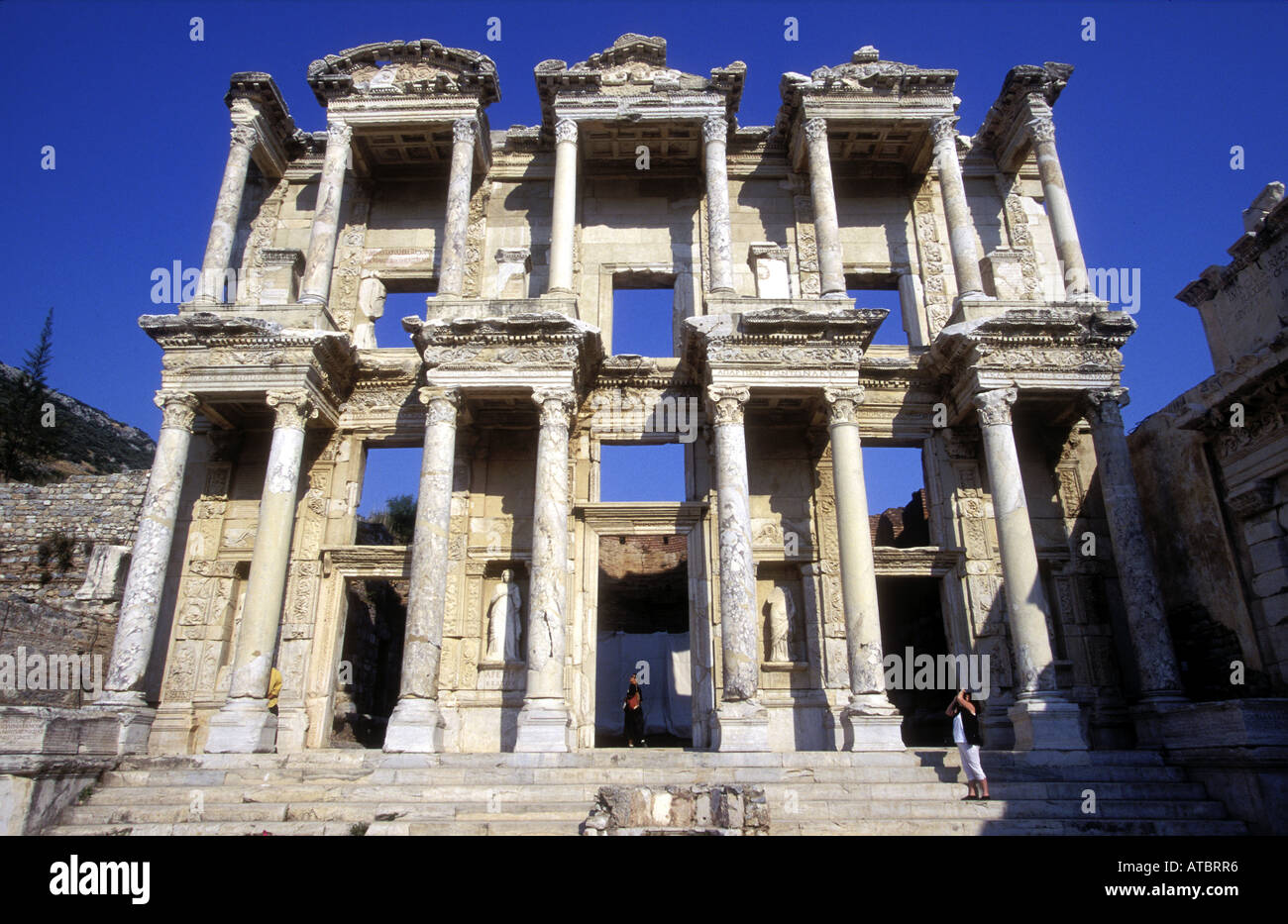 A couple of sightseers alongside the skeletal remains featuring ...