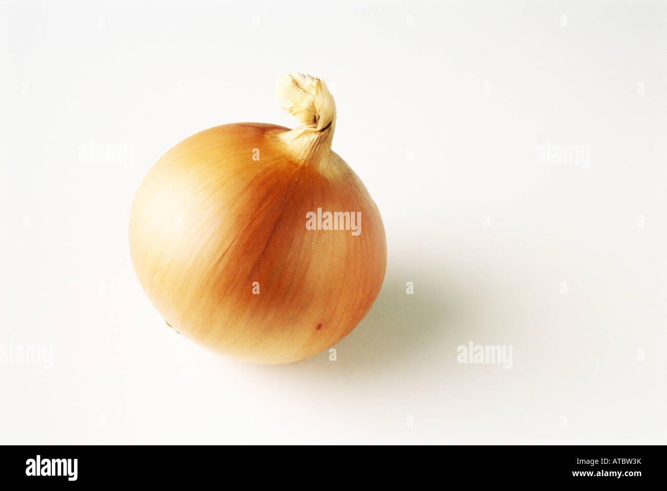 Onion colours hi-res stock photography and images - Alamy