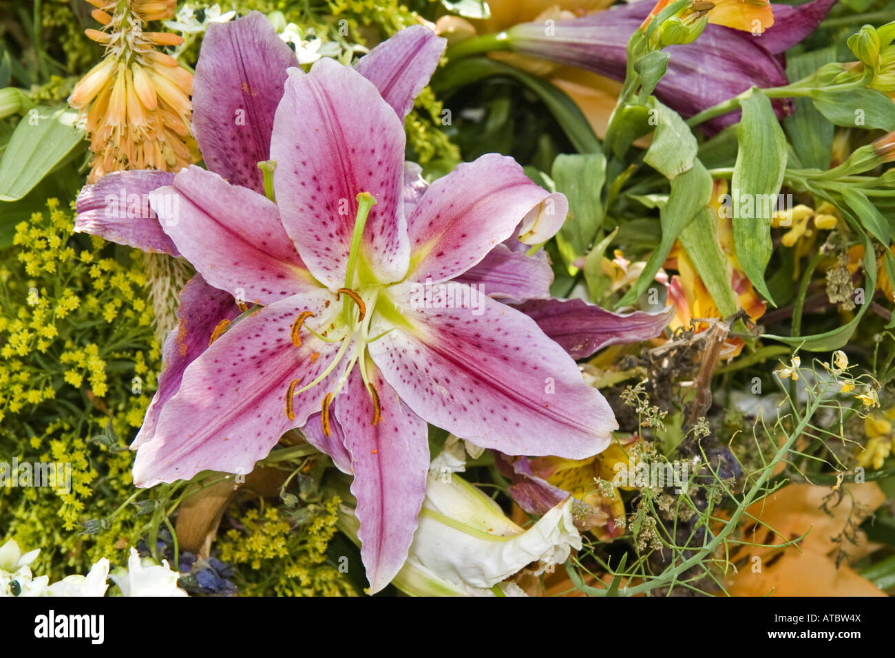 lily (Lilium spec.), flower in a bouquet of flowers Stock Photo - Alamy