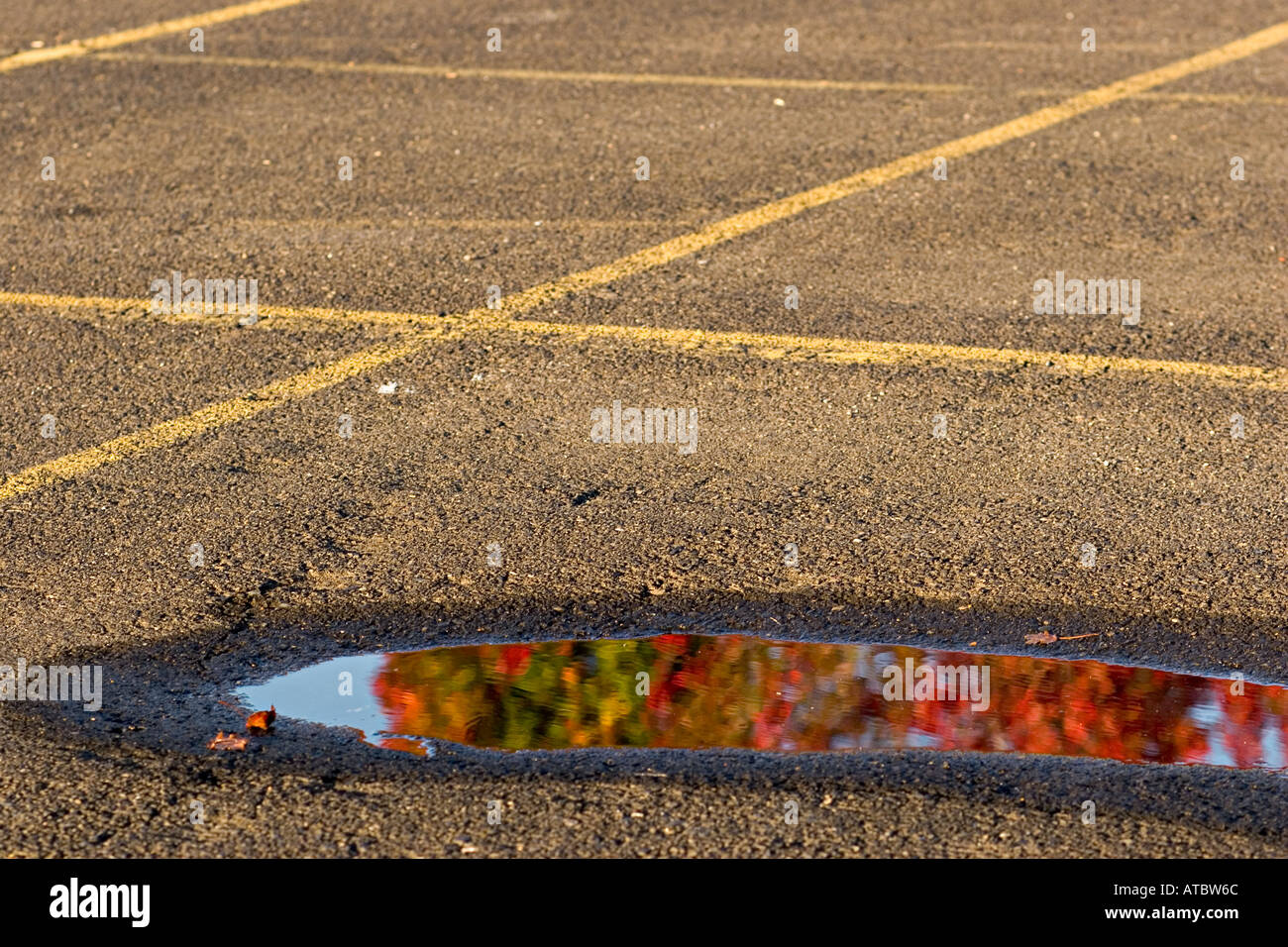 Parking Lot in Fall Stock Photo - Alamy