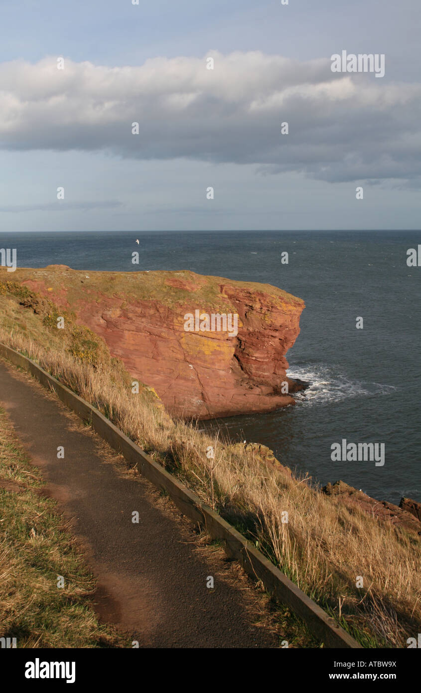 footpath and red sandstone Seaton Cliffs Angus Scotland February 2008 ...