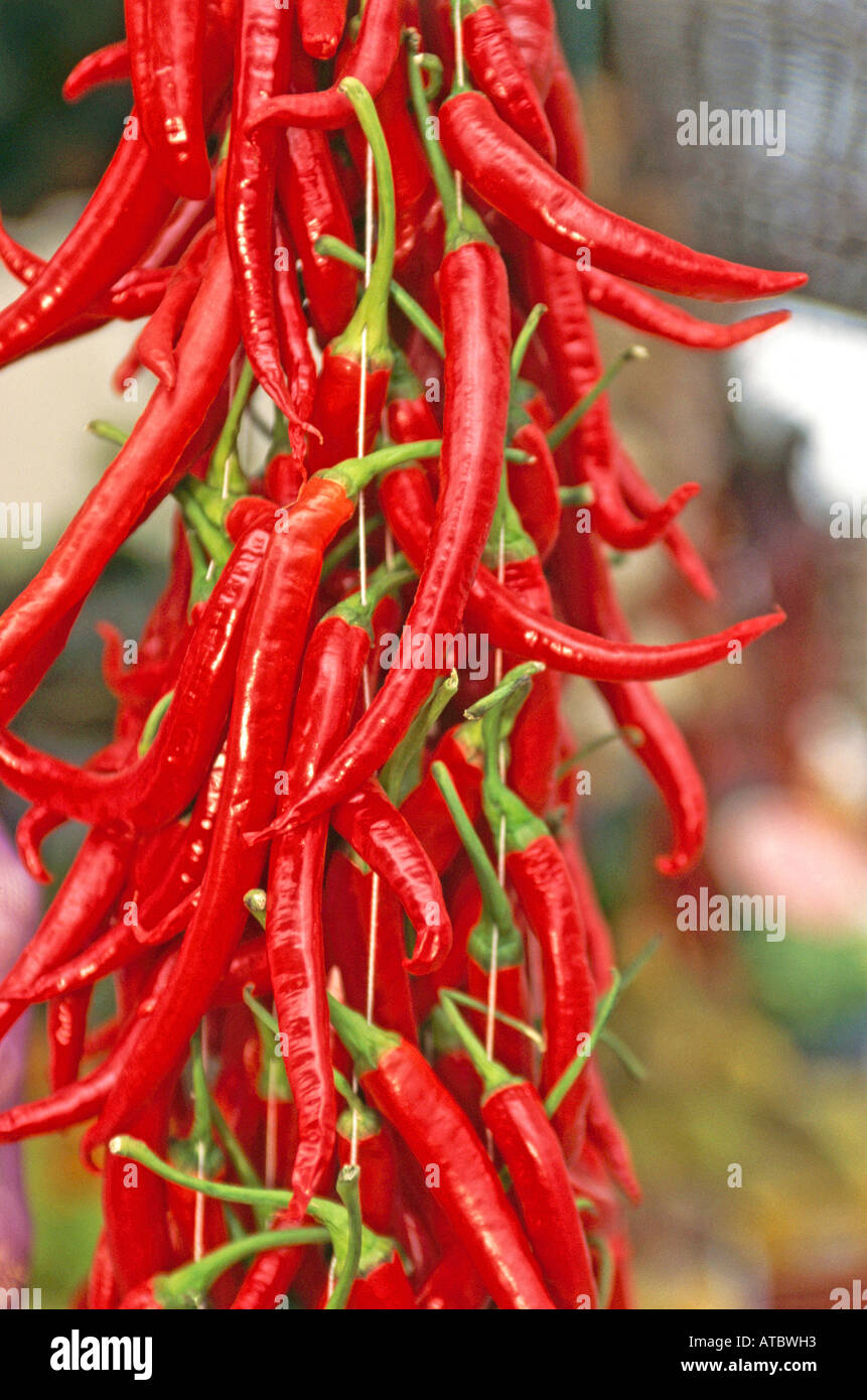 Strings of red chilli peppers are displayed for sale at fruit and ...