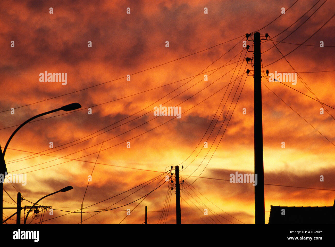 Telephone lines and street lights at sunset, silhouette, low angle view ...