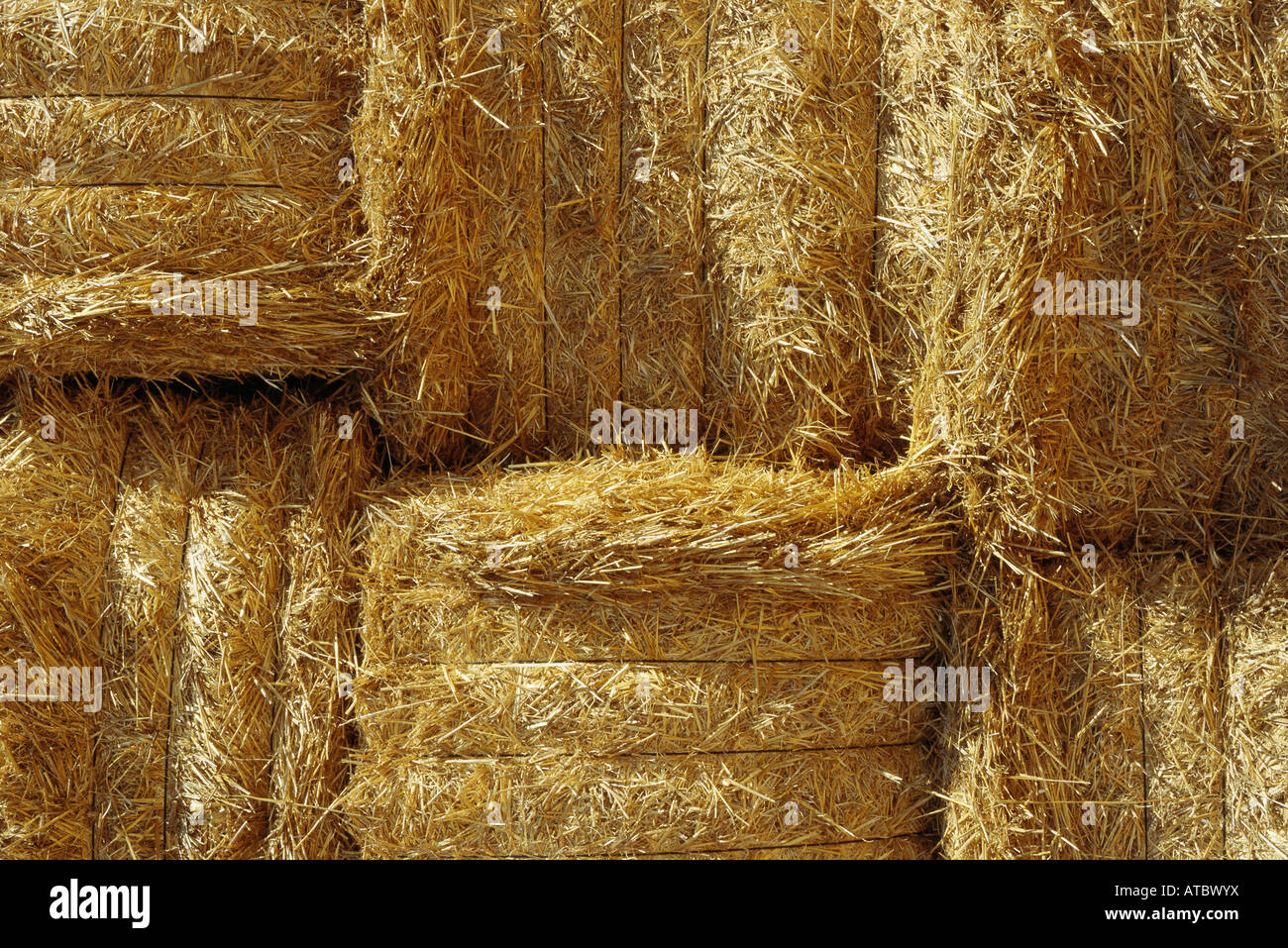 Stacked hay bales, close-up, full frame Stock Photo - Alamy