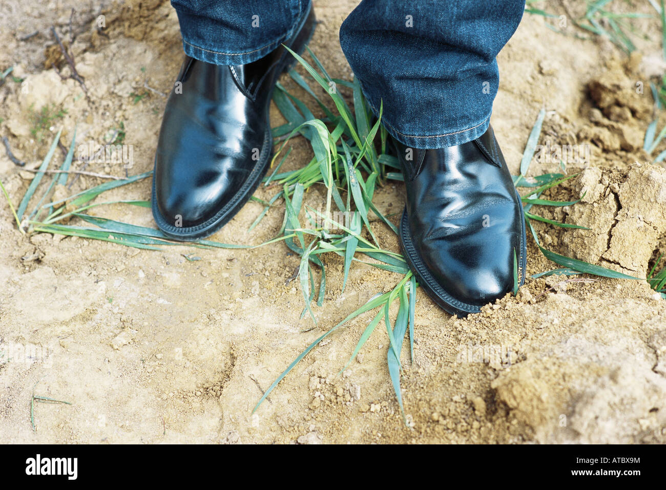 Person Wearing Black Dress Shoes Standing On Top Of Grass Cropped View