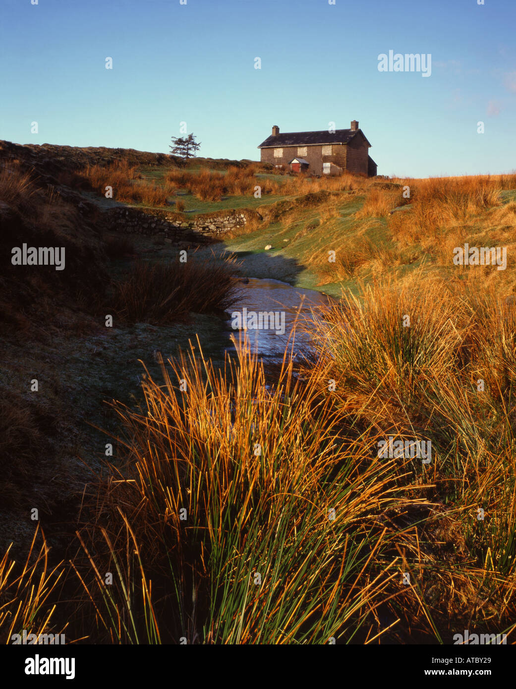 Nuns cross farm Dartmoor Devon UK Stock Photo - Alamy