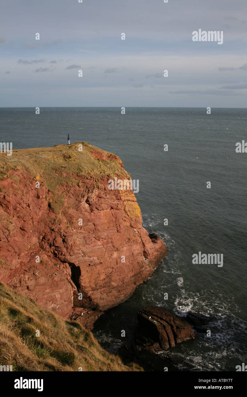 elevated view of red sandstone Seaton cliffs near Arbroath Angus ...
