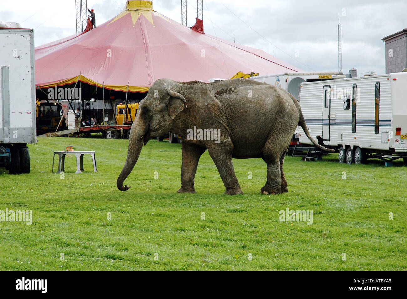Irish circus hi-res stock photography and images - Alamy