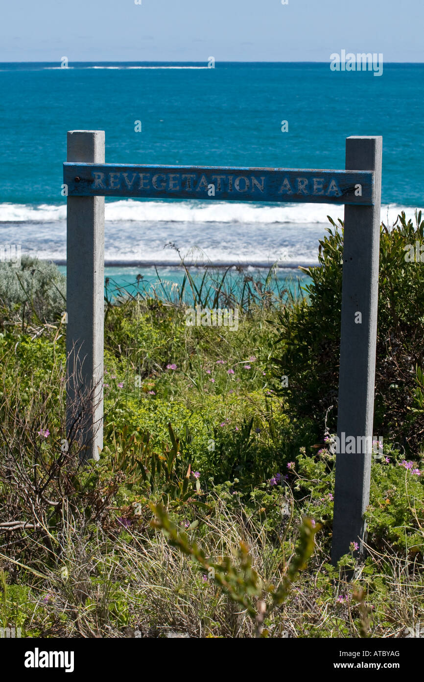 Sand dune revegetation hi-res stock photography and images - Alamy