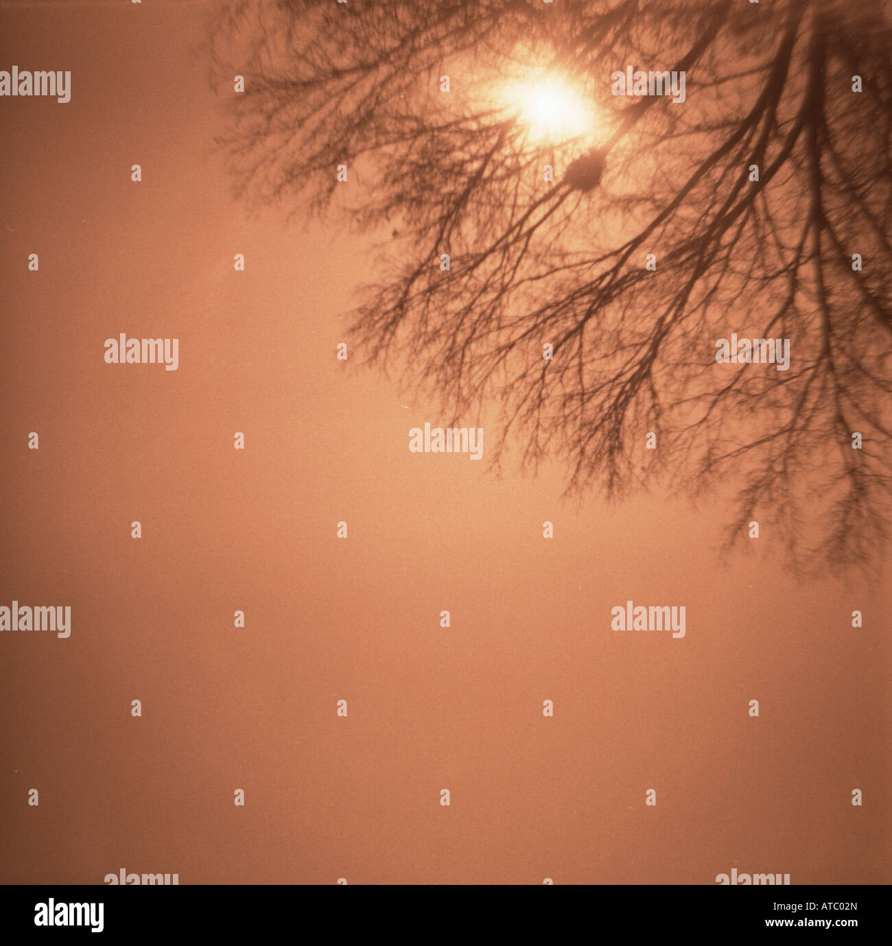 Blocking out horror hi-res stock photography and images - Alamy