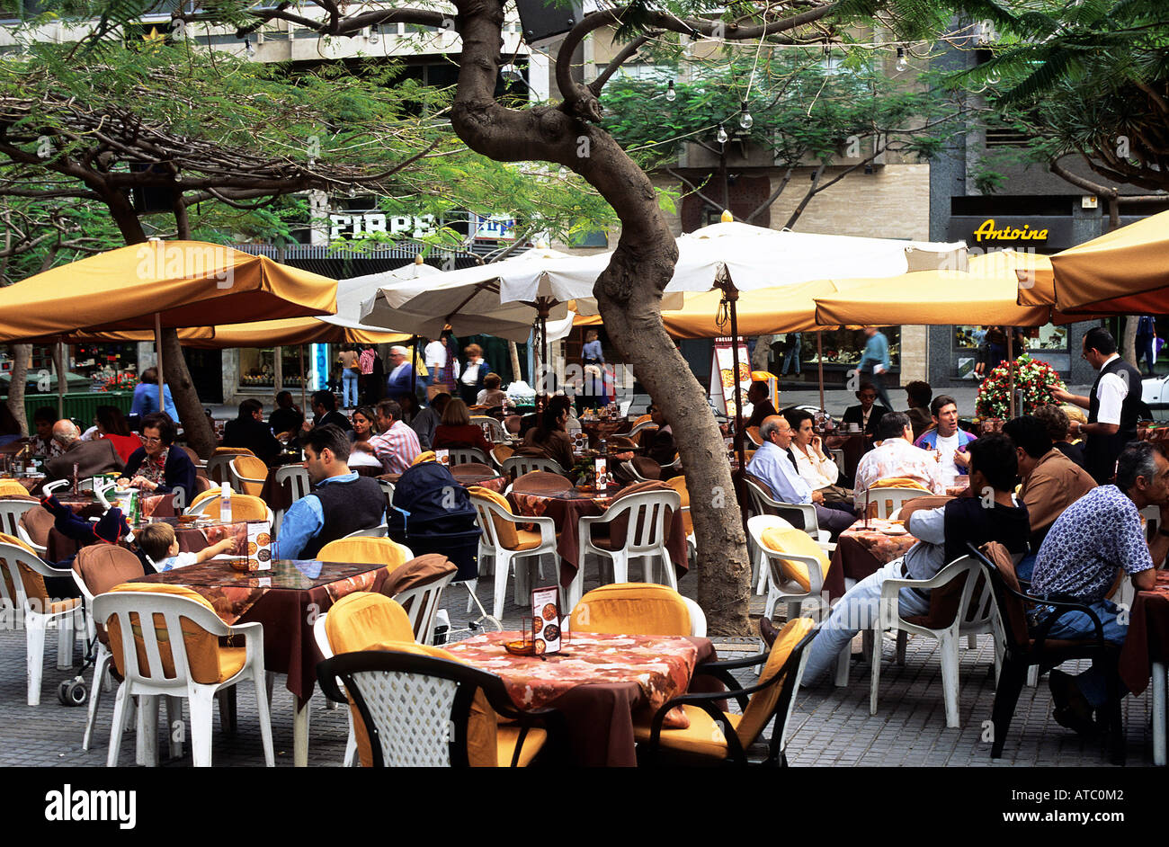 Groups of people seated at canopied cafe tables beneath trees in a ...