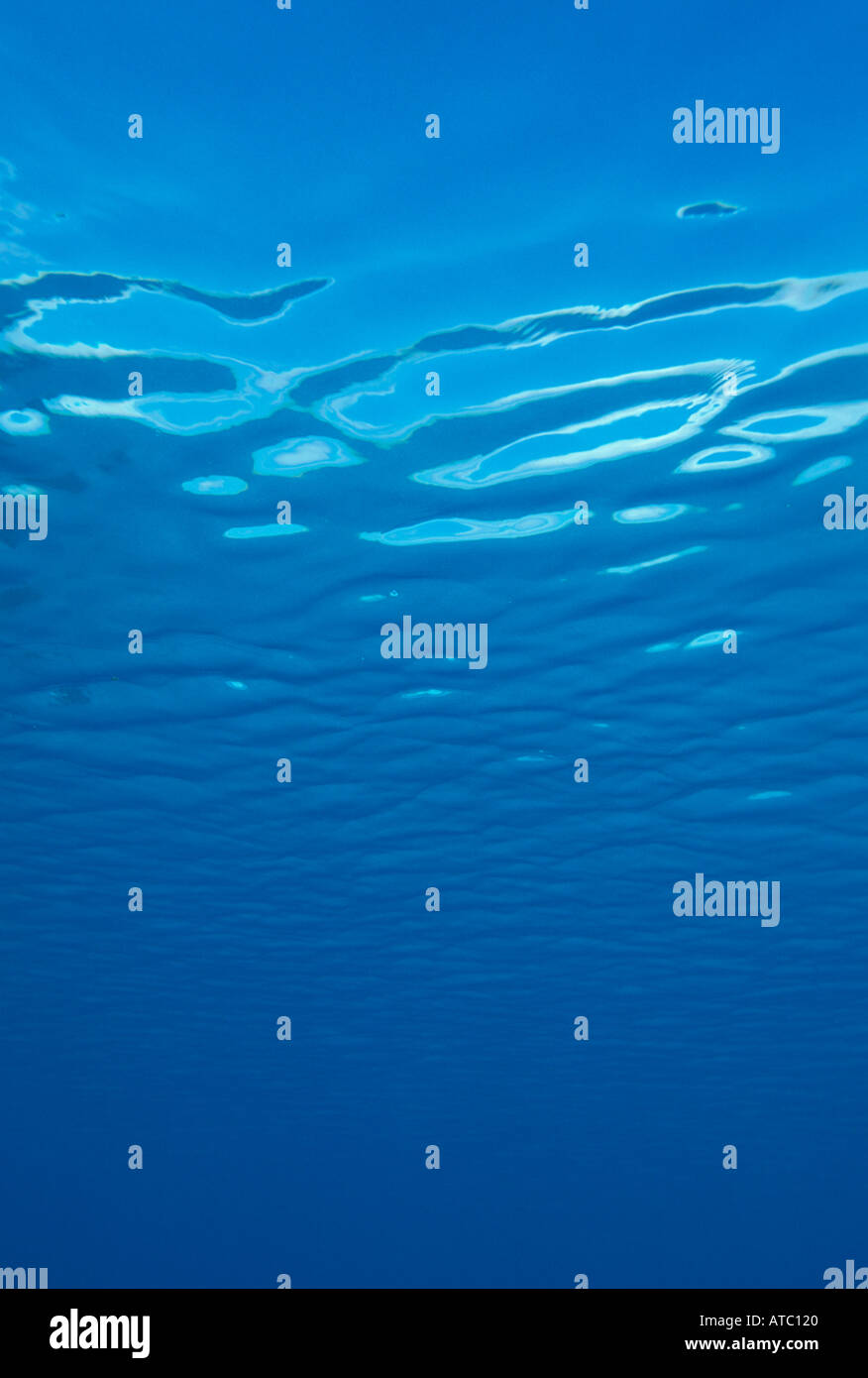Australia Queensland Great Barrier Reef underwater view of sea surface ...