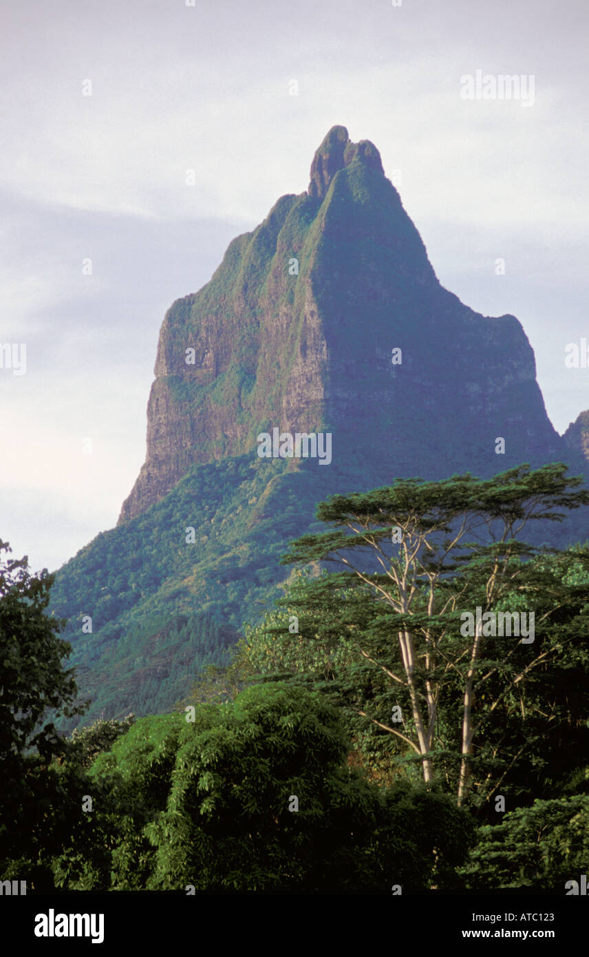 Moua hi-res stock photography and images - Alamy