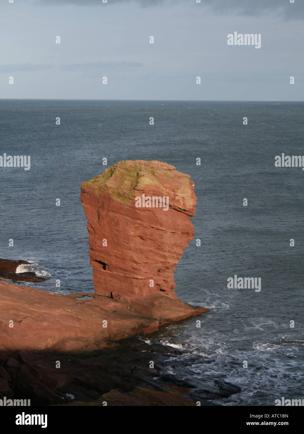 Deil's Heid red sandstone sea stack Angus Scotland February 2008 Stock ...
