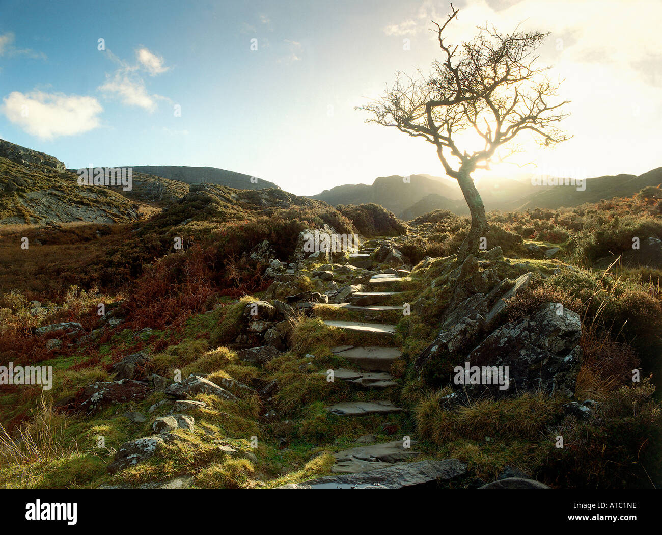 Roman steps wales hi-res stock photography and images - Alamy