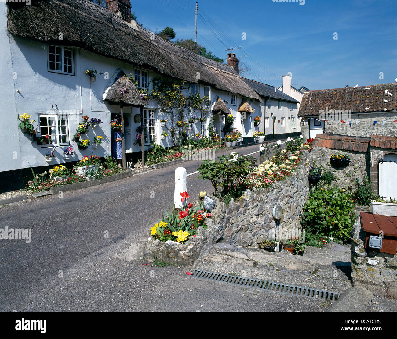 A view of Branscombe village with it s thatched cottages Stock Photo ...