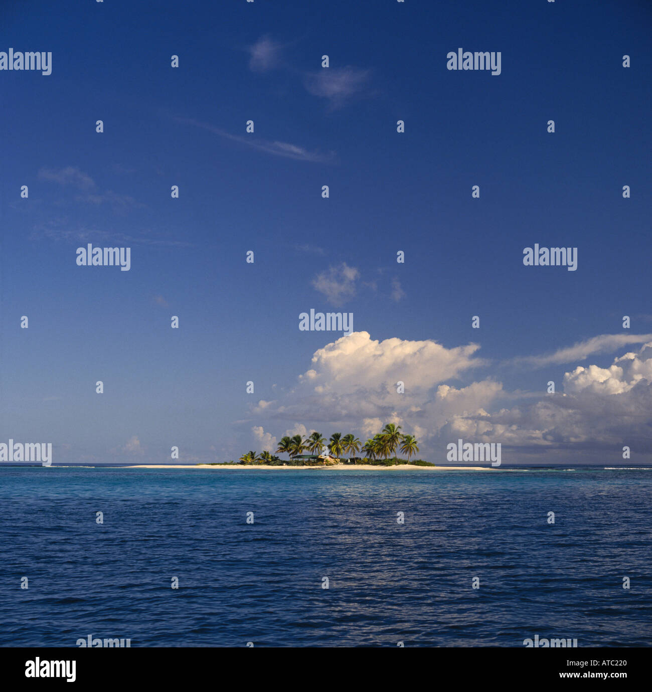 Typical idyllic dream style tropical desert island with palm trees ...