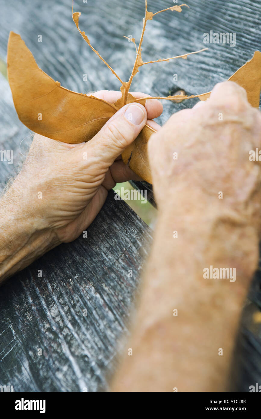 Tear off part hi-res stock photography and images - Alamy
